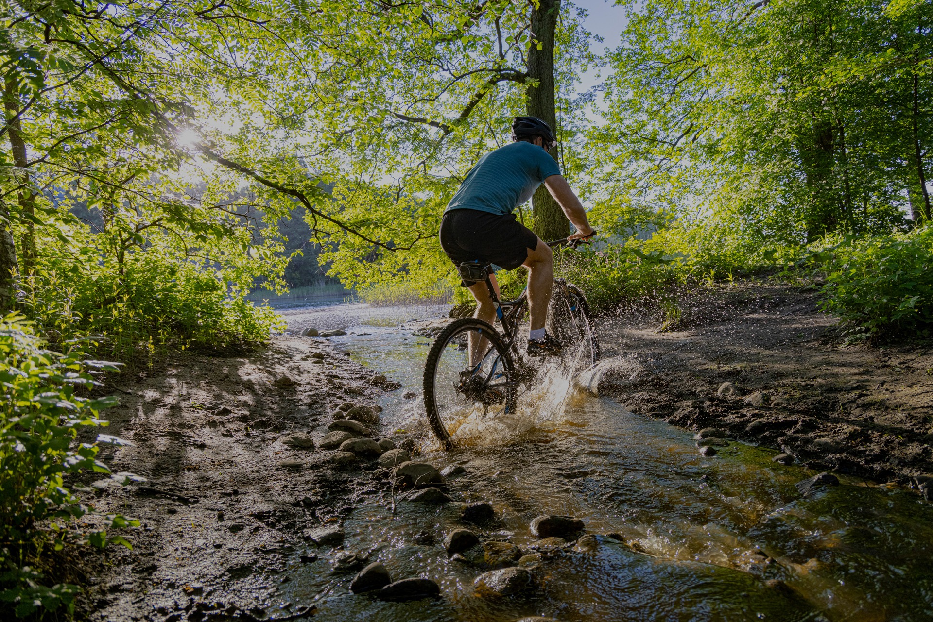 Testosteroni on miesten tärkein sukupuolihormoni – Puhti